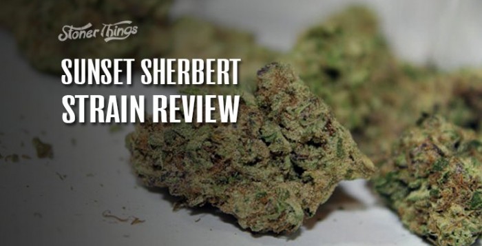 Sunset Sherbert Strain Review - Stoner Things