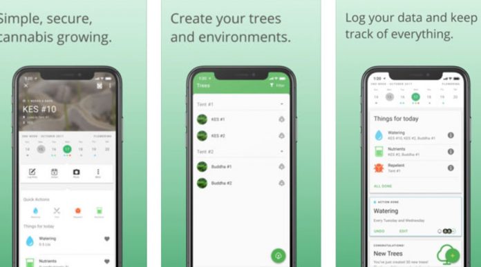 10 Best Marijuana Smartphone Apps - Stoner Things