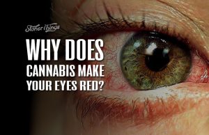 Why Does Cannabis Make Your Eyes Red? - Stoner Things
