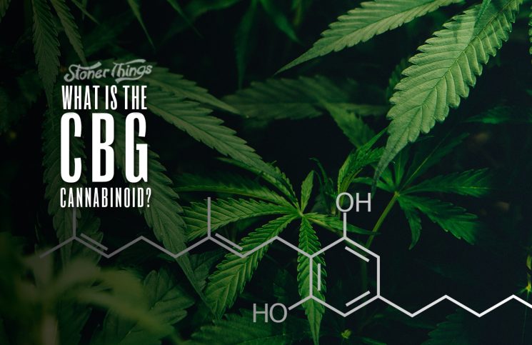 What Is The CBG Cannabinoid and What Are Its Benefits? - Stoner Things