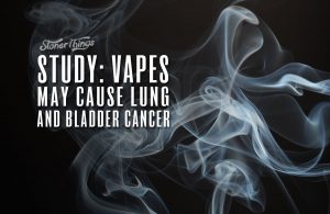Study Finds Vapes May Cause Lung And Bladder Cancer - Stoner Things