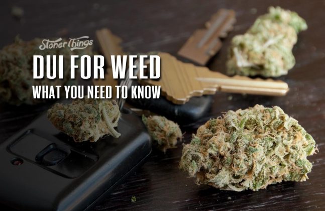 DUI for Weed Laws: What You Need to Know - Stoner Things