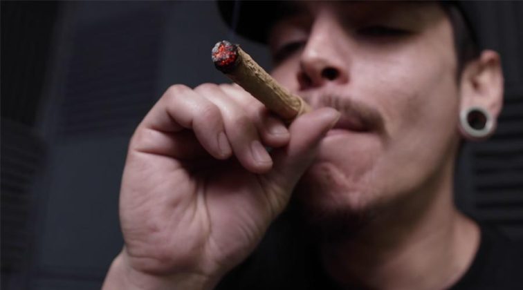 How to Make a Homemade Cannabis Cigar with a Cannagar Mold - Stoner Things