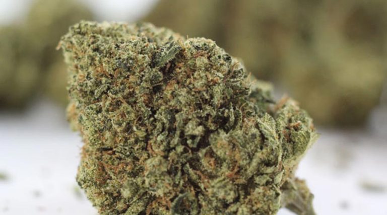 Diablo Strain Review - Stoner Things