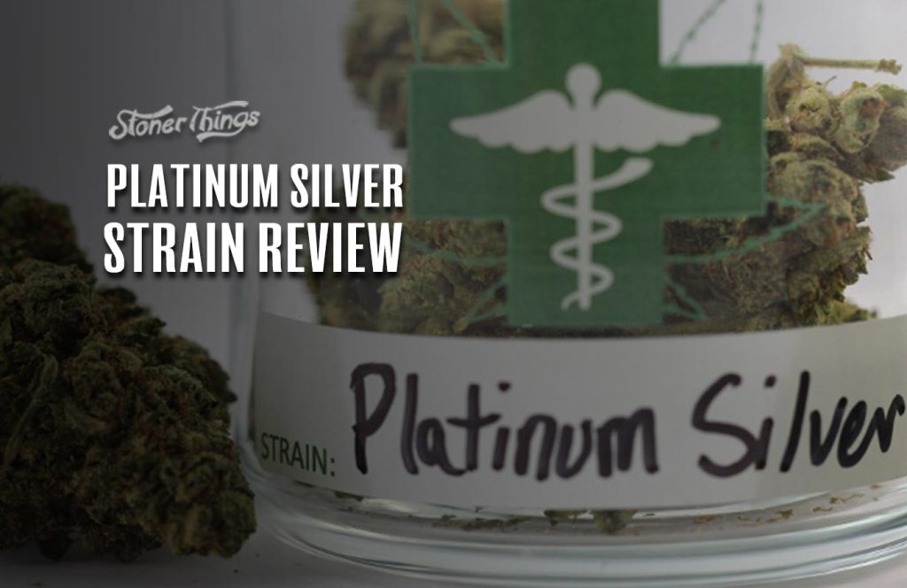 Platinum Silver Strain Review - Stoner Things