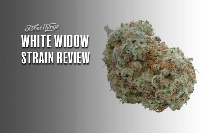 White Widow Strain Review - Stoner Things