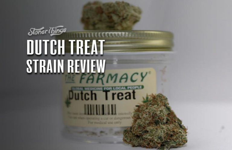 Dutch Treat Strain Review - Stoner Things